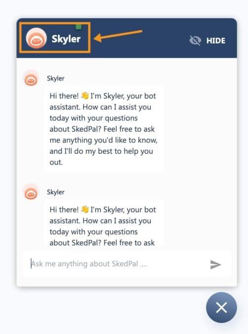 Skedpal Review 2024 (Can Skedpal BEAT Motion?)