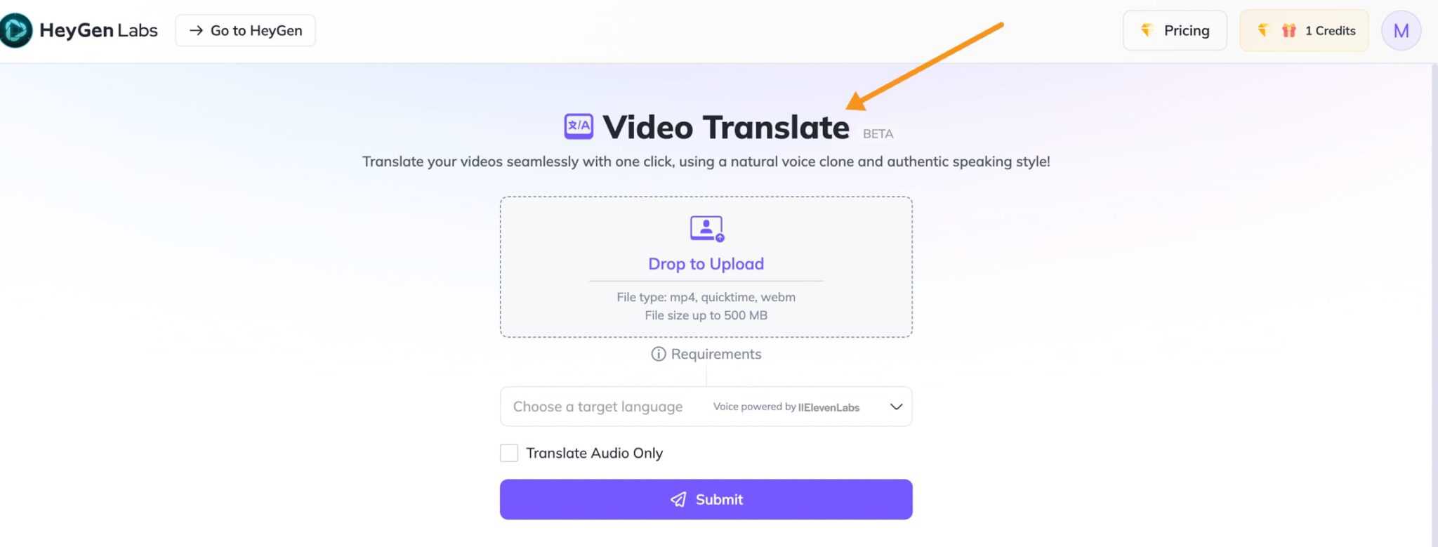 11 Best AI Dubbing Software: Make Videos Go Global (2024)