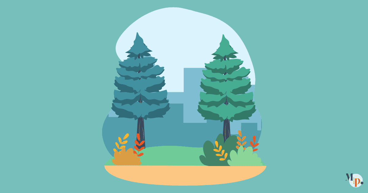 21 Best Outdoor Business Ideas To Start Right In 2024