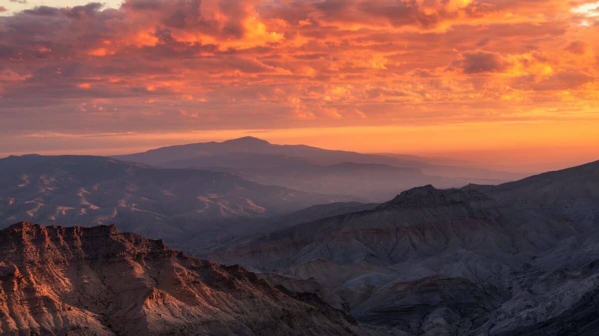 53+ Best Ideogram AI Prompts That Inspire Stunning Visuals