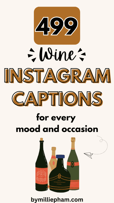 499 Wine Instagram Captions That Make Every Sip Insta-Worthy - By ...