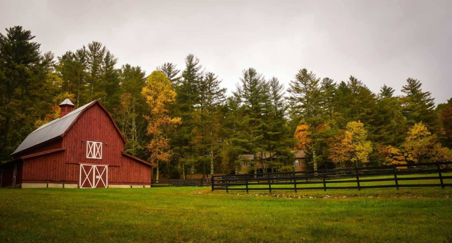321+ Country Instagram Captions for Rustic, Wild, and Free Vibes (2025)