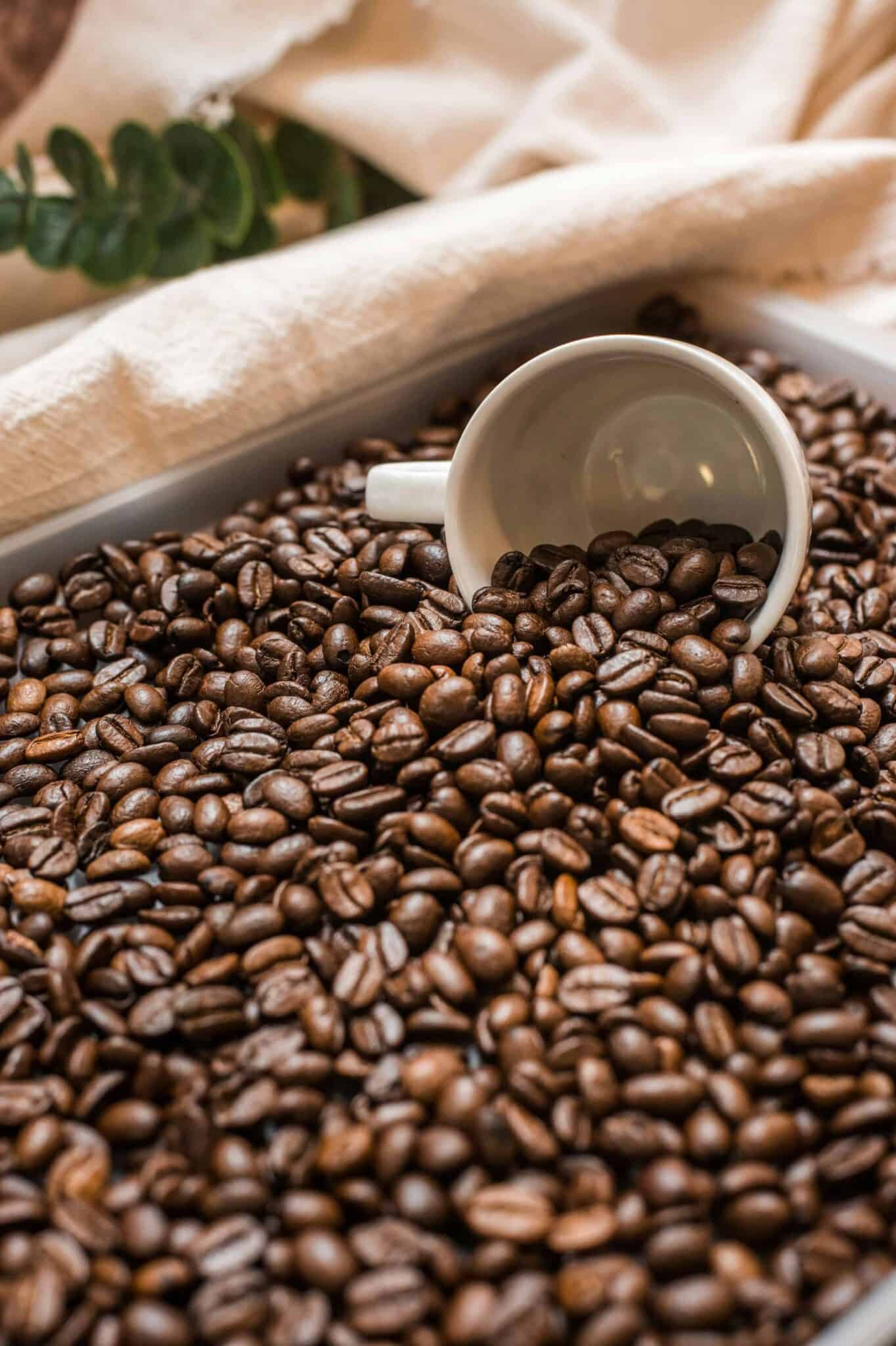 299 Coffee Instagram Captions: The Best Ideas for 2025 to Boost Your Feed
